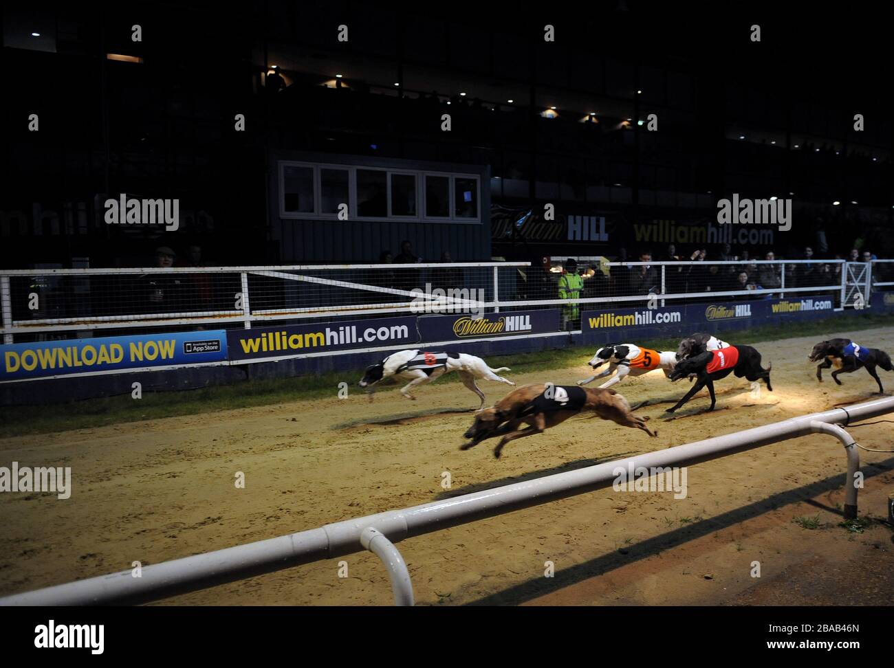 General view of the race action at Wimbledon Greyhound Stadium Stock ...