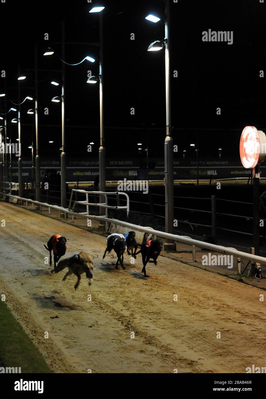 General view of the race action at Wimbledon Greyhound Stadium Stock ...