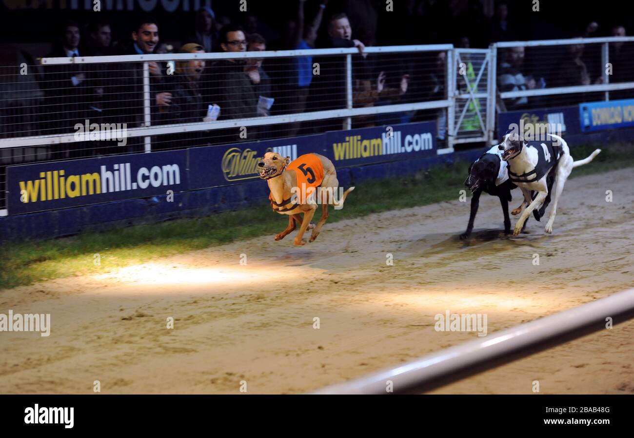 General view of the race action at Wimbledon Greyhound Stadium Stock ...