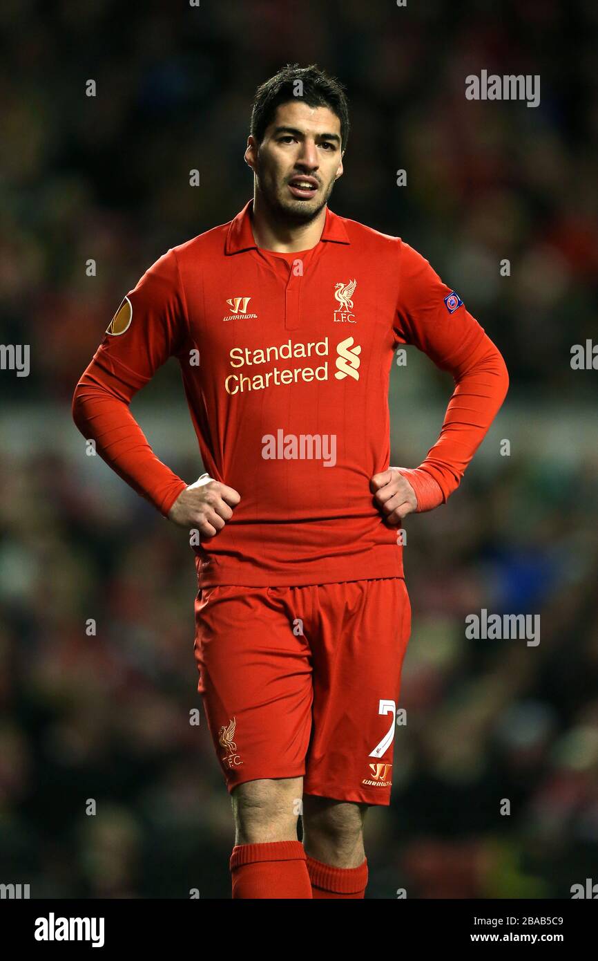Suarez Warrior