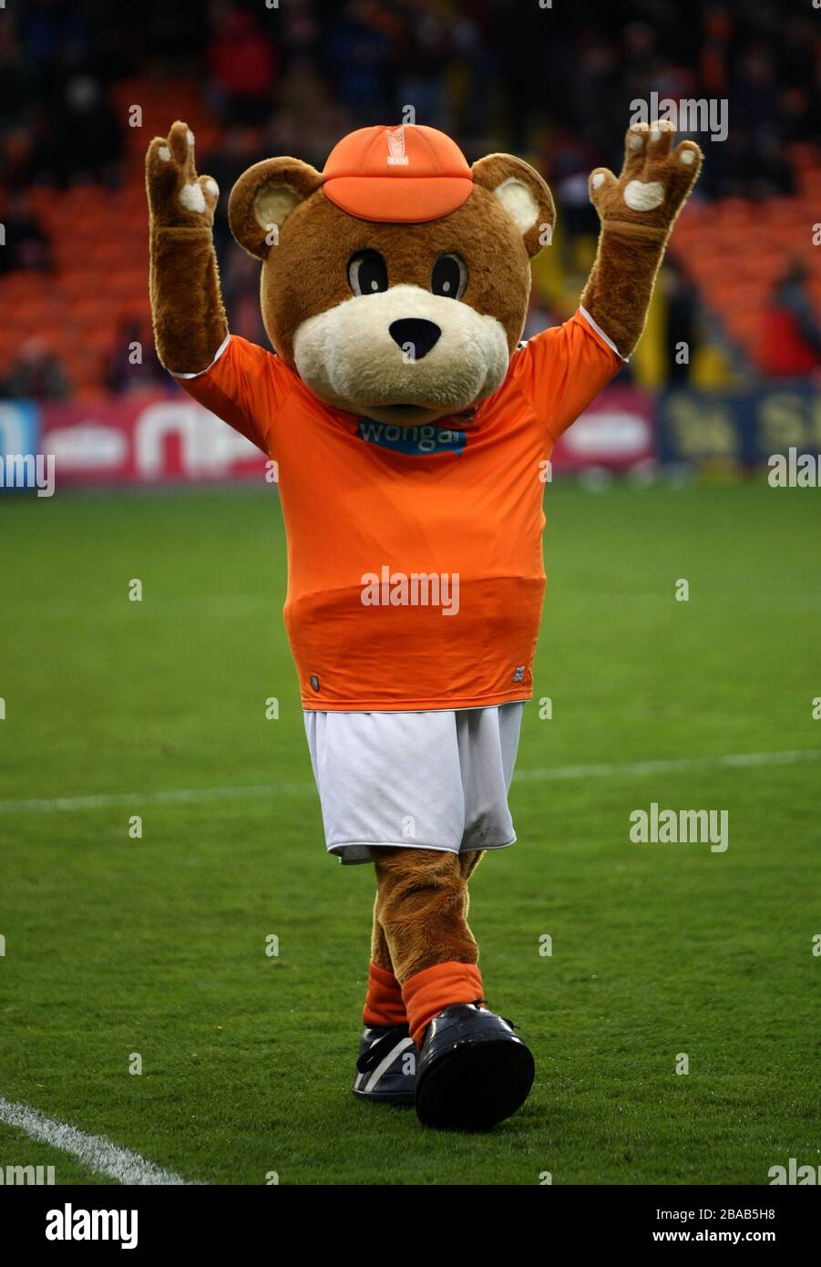 Blackpool's mascot Bloomfield Bear Stock Photo - Alamy