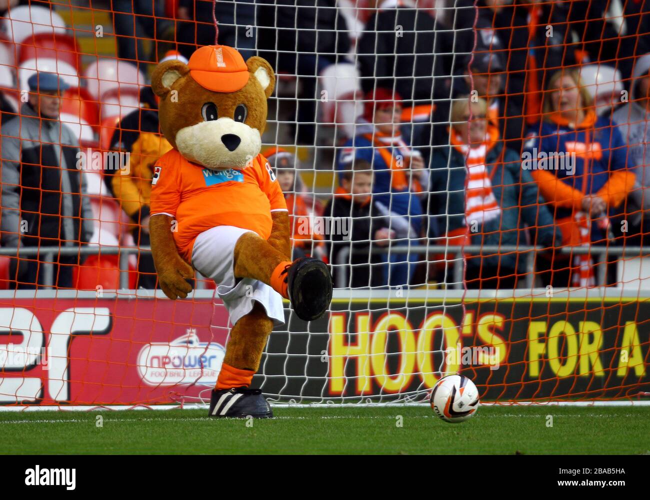 Blackpool's mascot Bloomfield Bear Stock Photo - Alamy