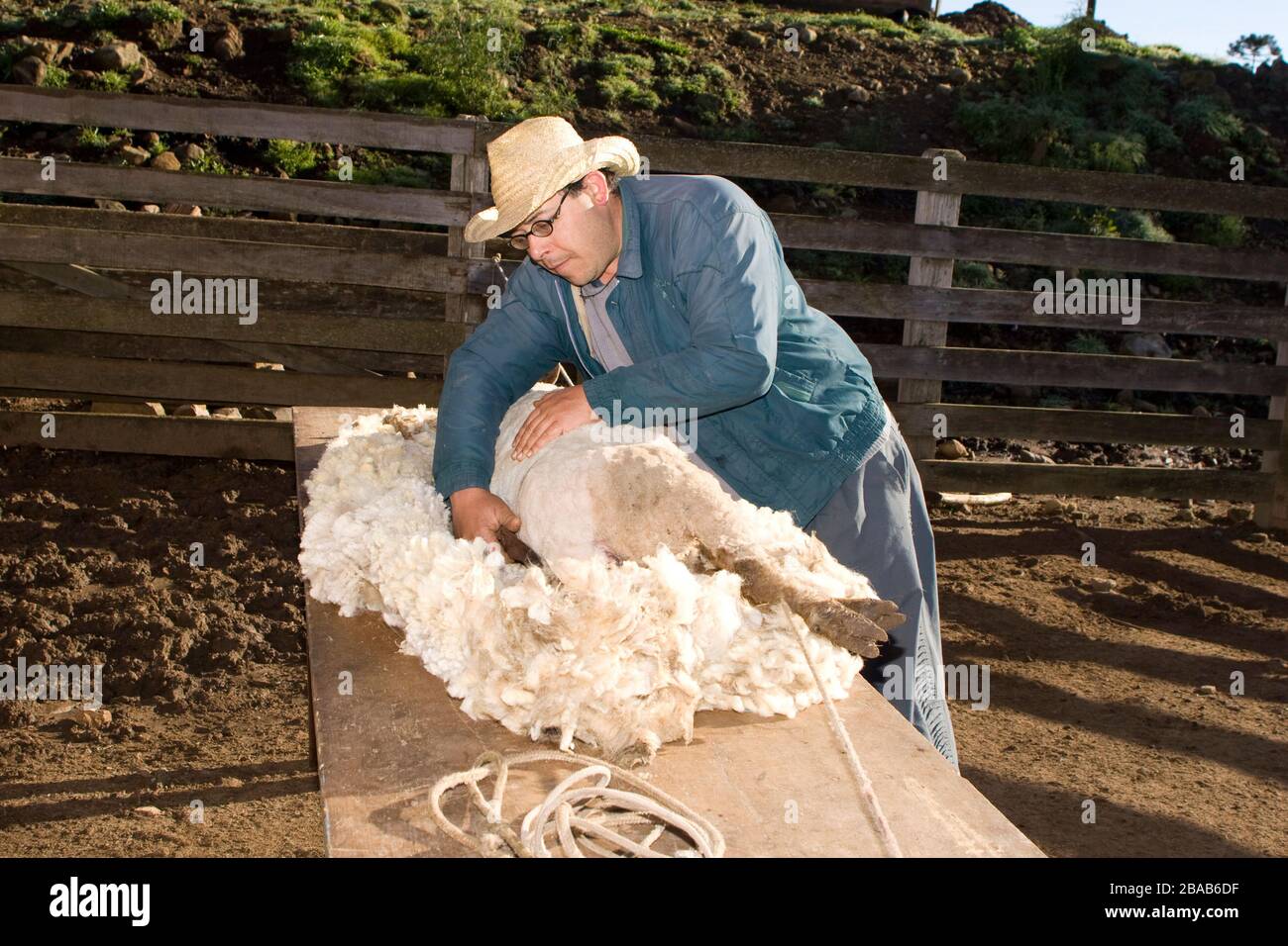 Sheep shearing table hi-res stock photography and images - Alamy