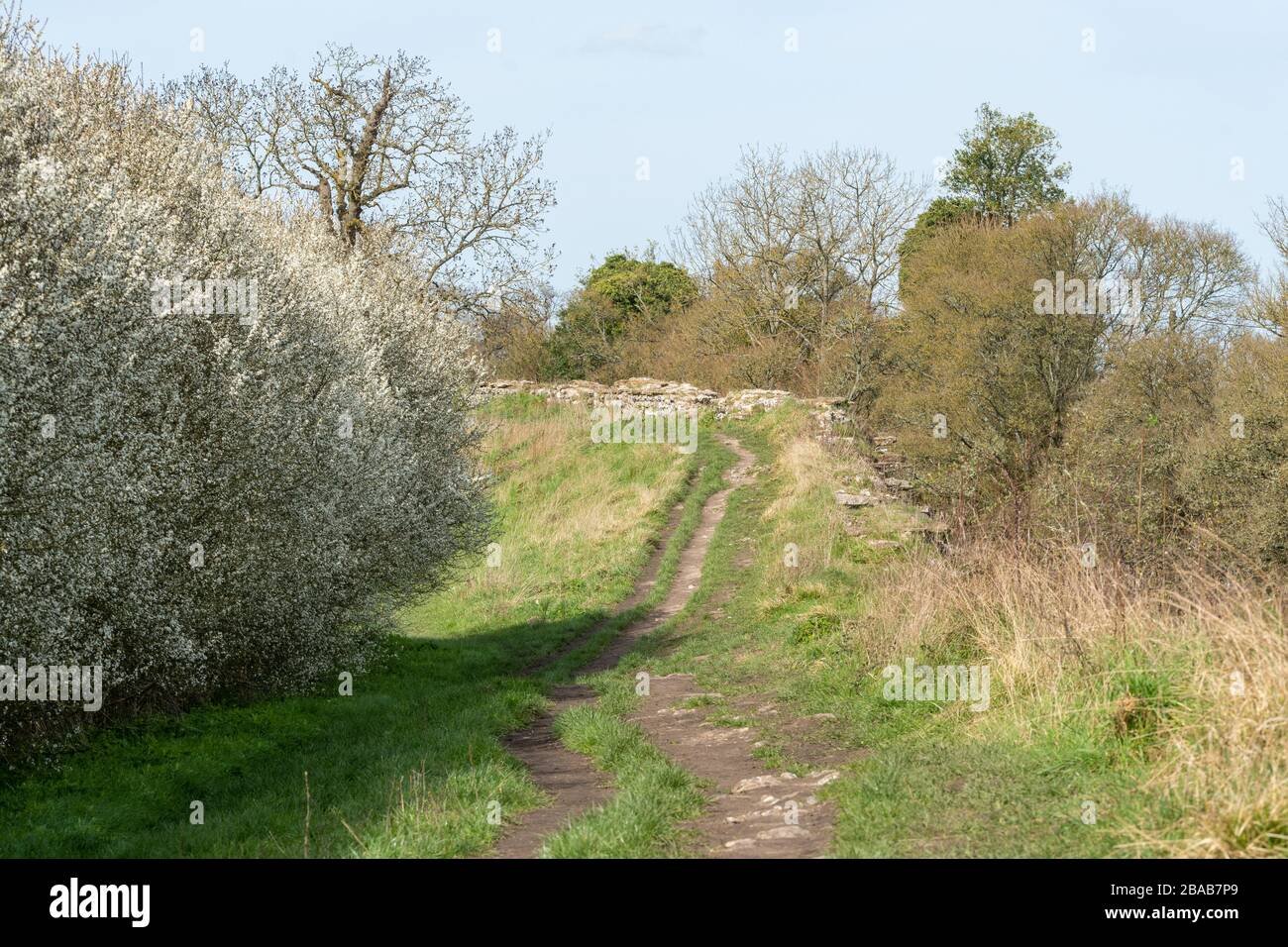 Footpath around the Silchester Roman Town Wall in Hampshire, UK Stock ...