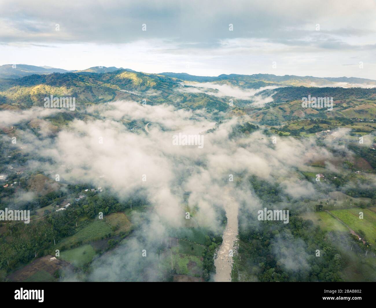 Aerial view rainforest covered fog hi-res stock photography and images ...