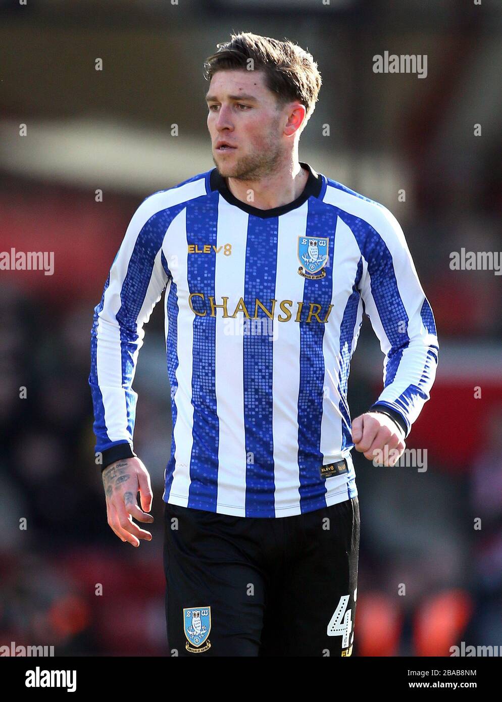 Sheffield Wednesday's Josh Windass Stock Photo - Alamy