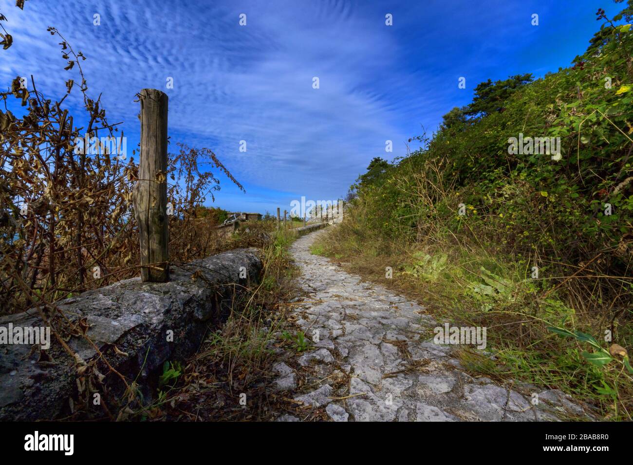 ancient Roman paved road on the Prenestine mountains Stock Photo - Alamy