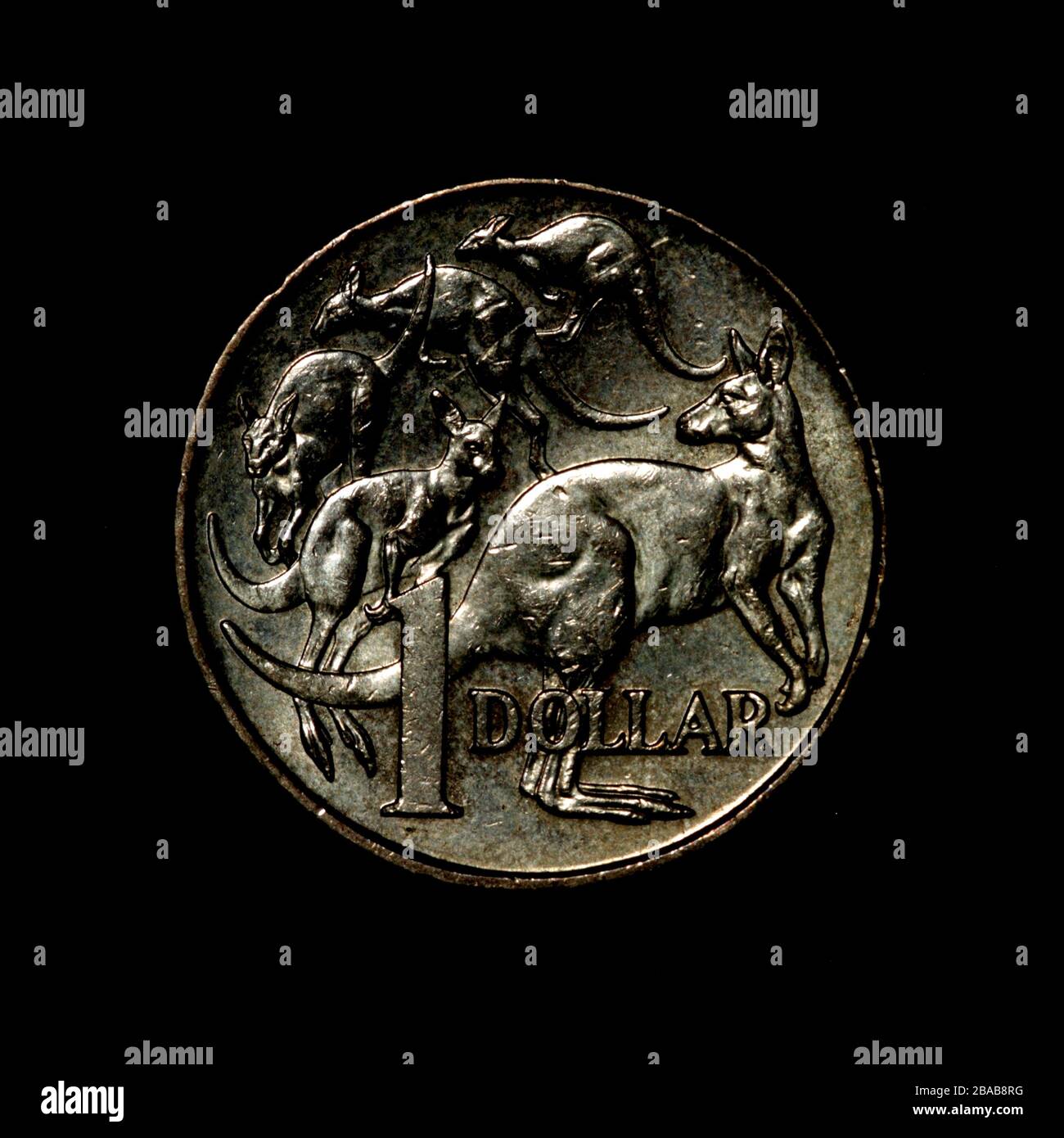 Australian kangaroos anzac hi-res stock photography and images - Alamy