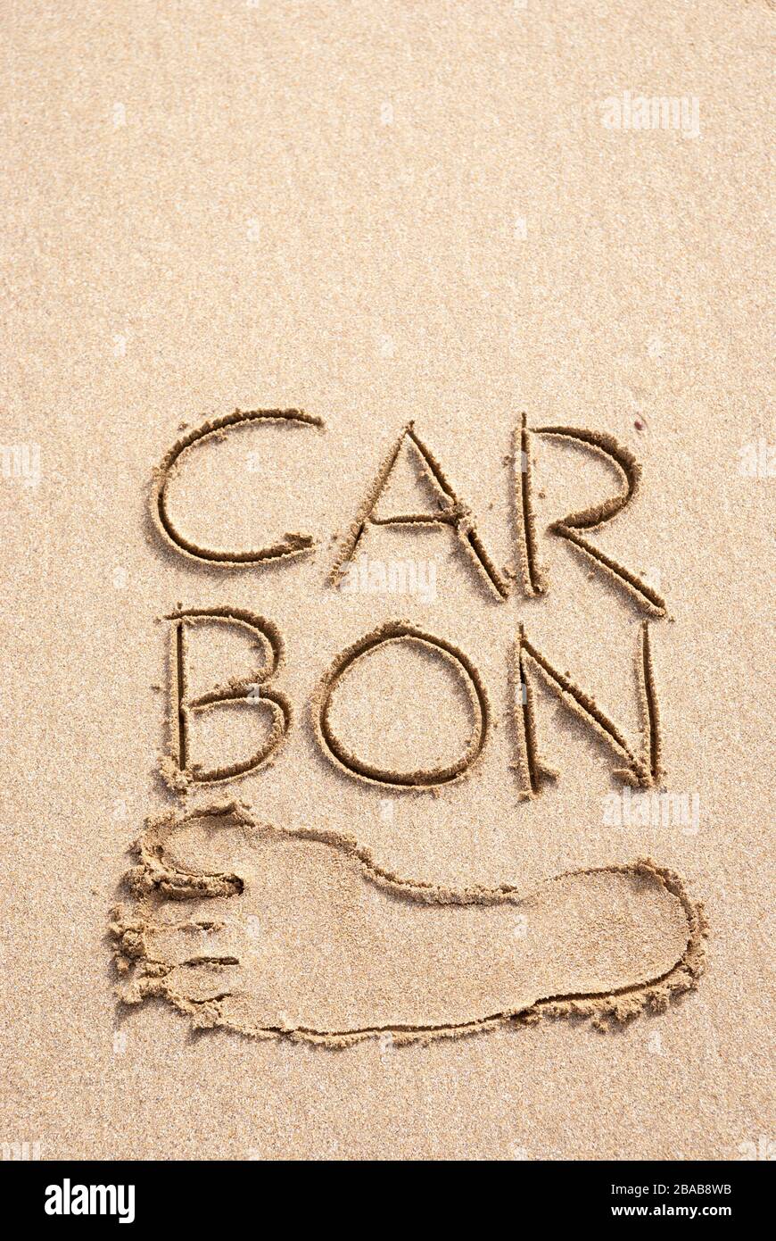 Eco-friendly Carbon Footprint message handwritten with the outline of a ...