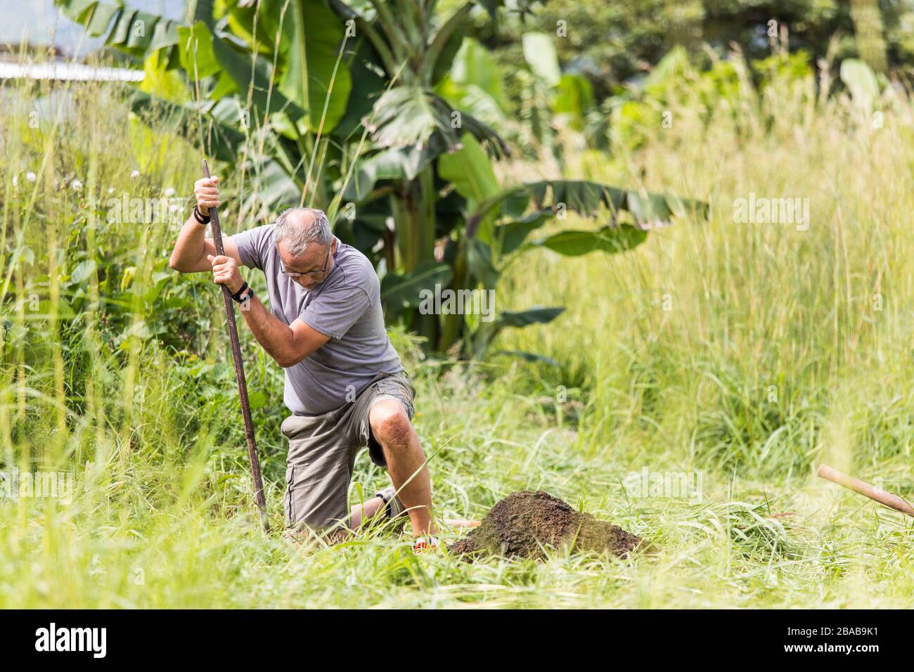 Elderly man digging hole outdoors Stock Photo - Alamy