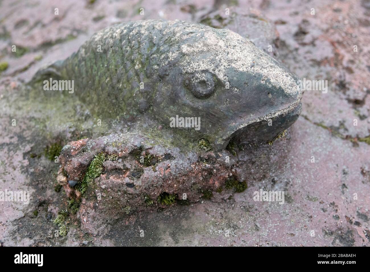 A sculpted of a concrete fish head Stock Photo - Alamy