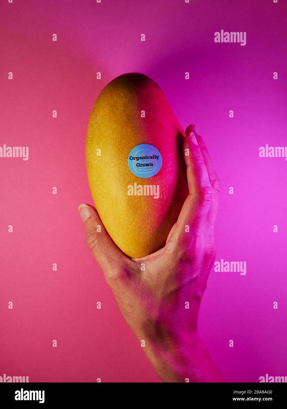 Hand holding mango hi-res stock photography and images - Alamy