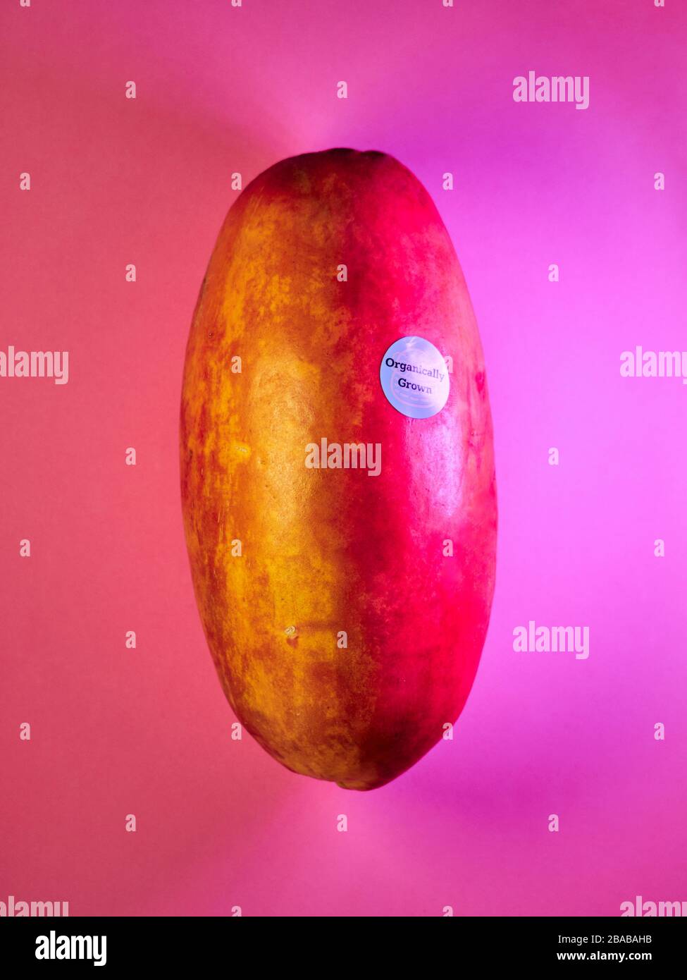 Organic Papaya Fruit On Purple Neon Background Stock Photo - Alamy