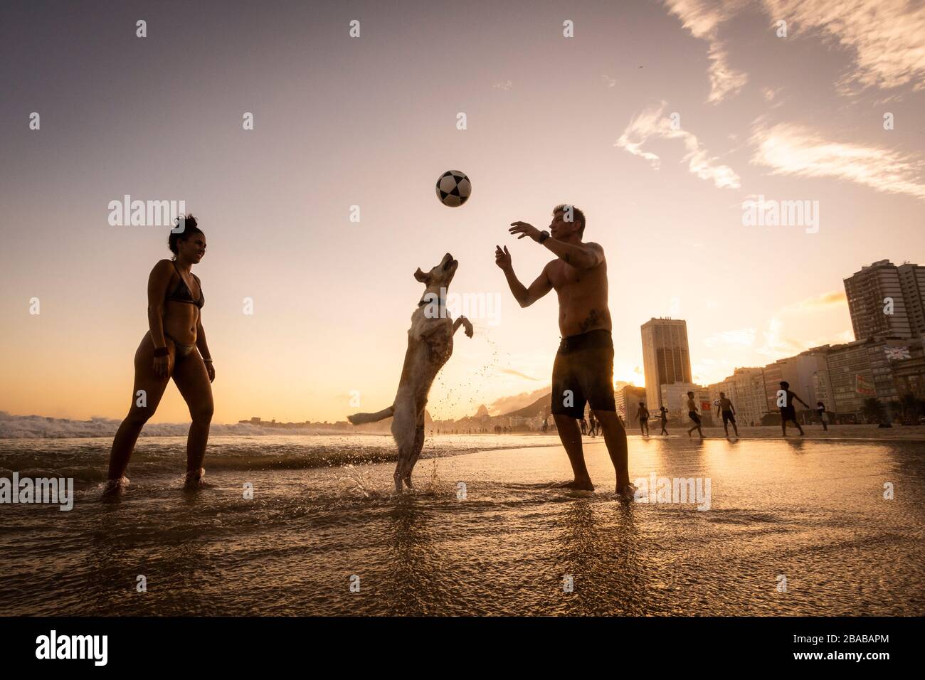 Soccer the dog hi-res stock photography and images - Alamy