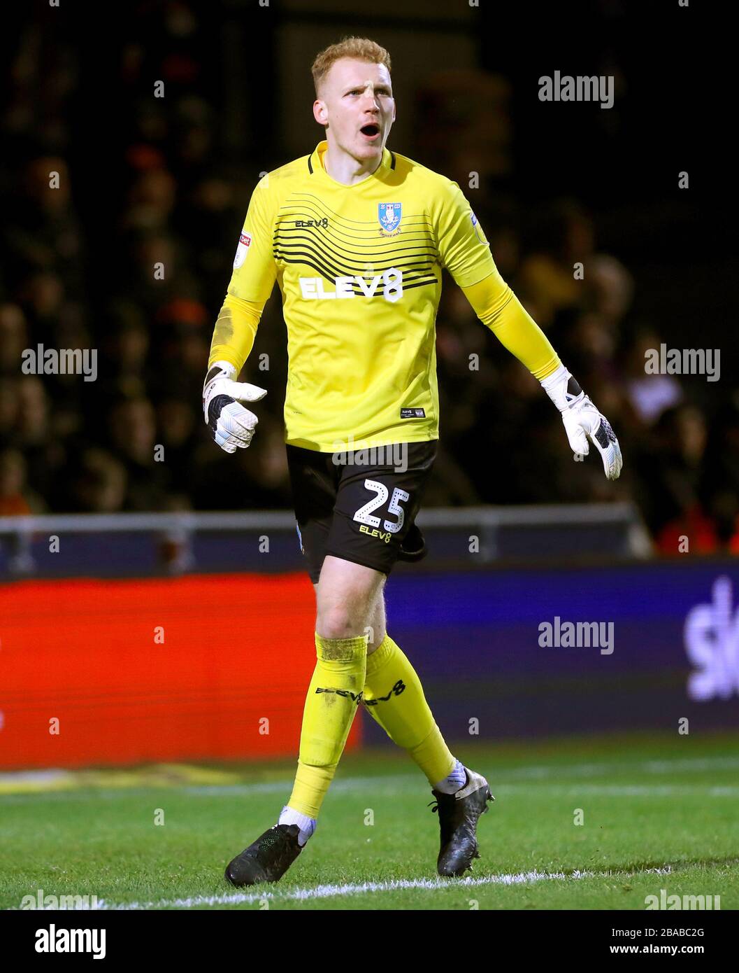 Sheffield Wednesday goalkeeper Cameron Dawson Stock Photo - Alamy