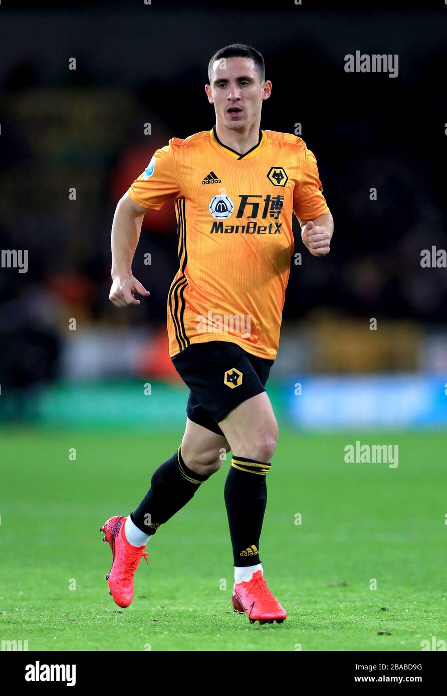 Wolverhampton Wanderers' Daniel Podence Stock Photo - Alamy