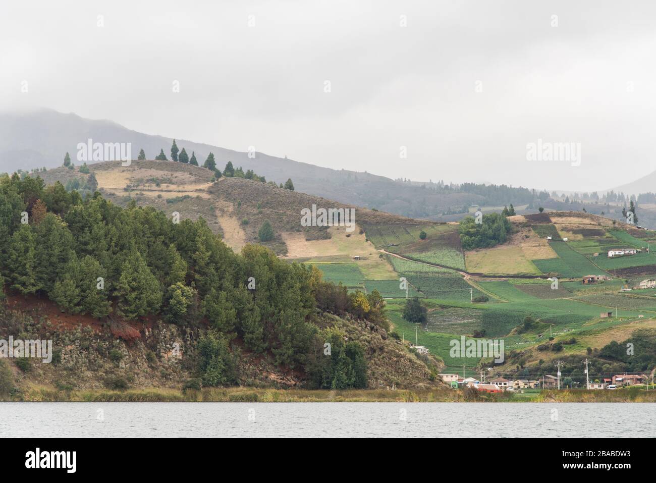 Tota hi-res stock photography and images - Alamy