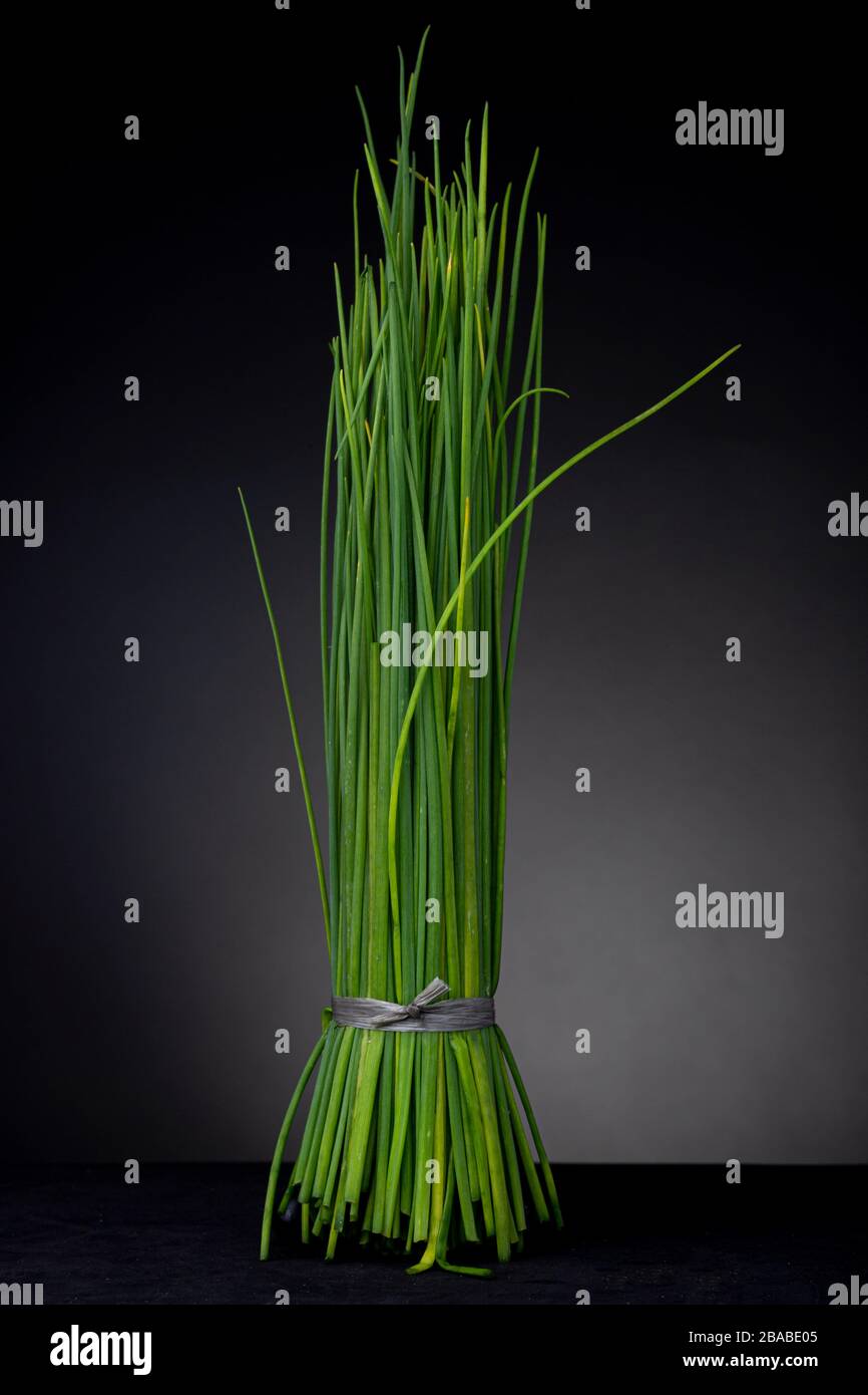 Vibrant green Allium or Chinese onion halm bundle standing straight up ...