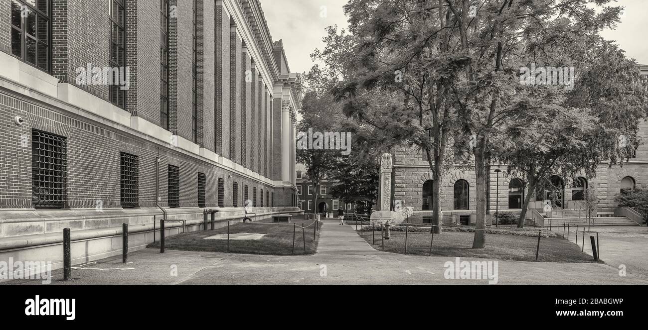 Harvard university library building hi-res stock photography and images ...