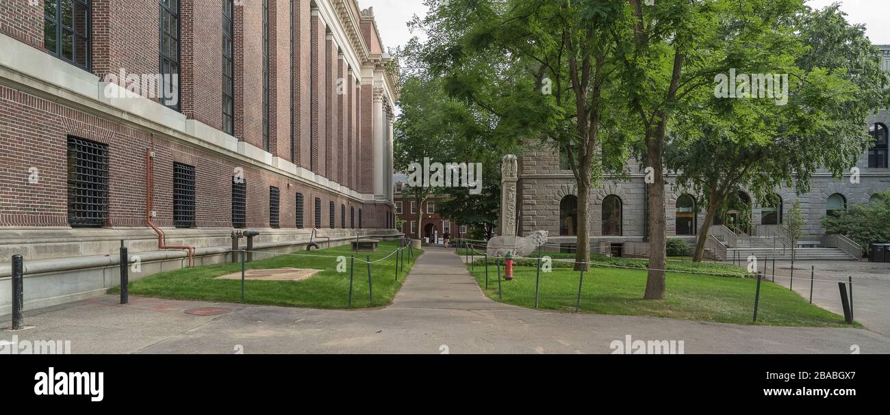 Side view of Widner Library, Harvard University, Cambridge ...