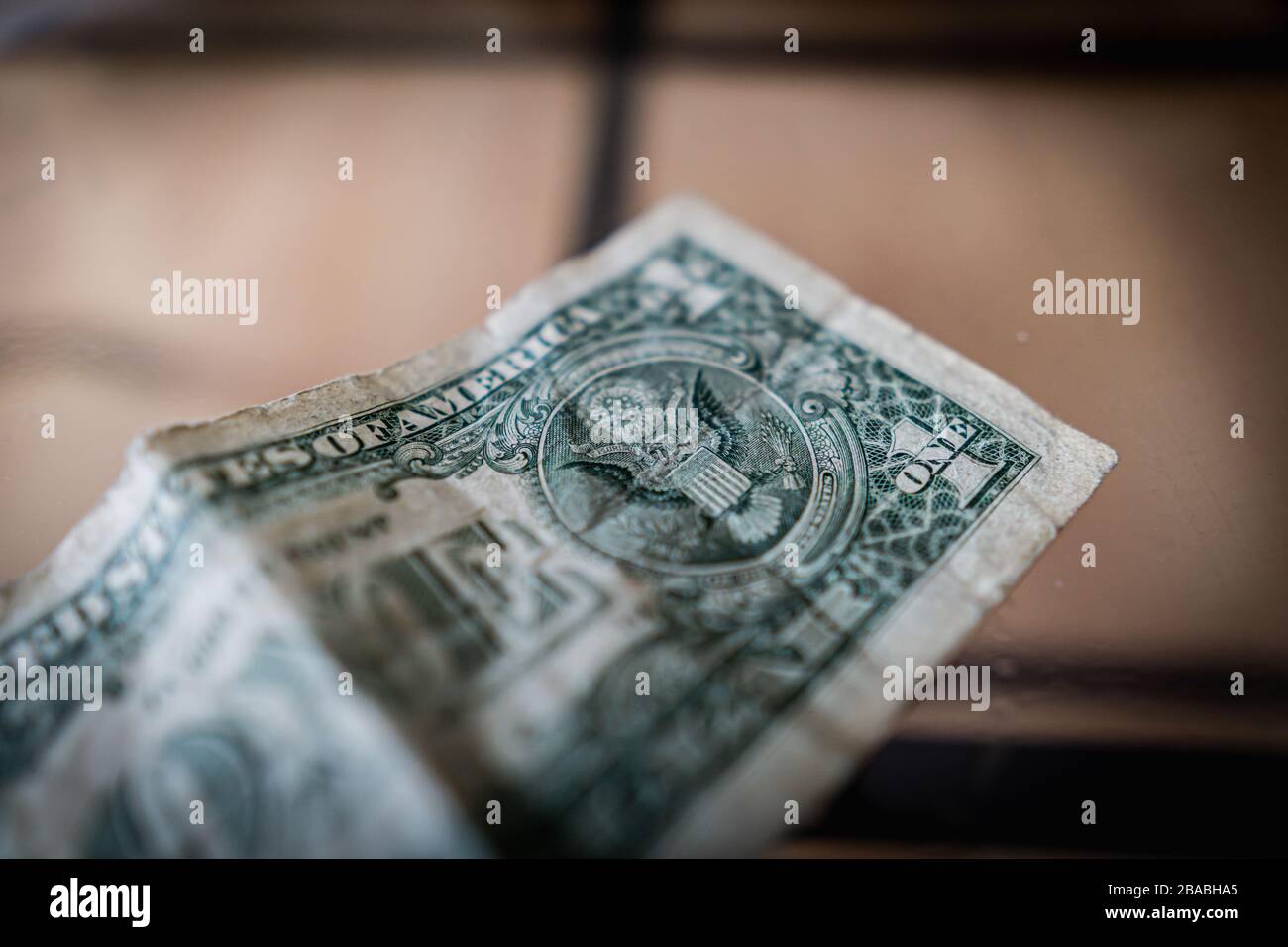 closeup of a crumpled one dollar bill Stock Photo - Alamy