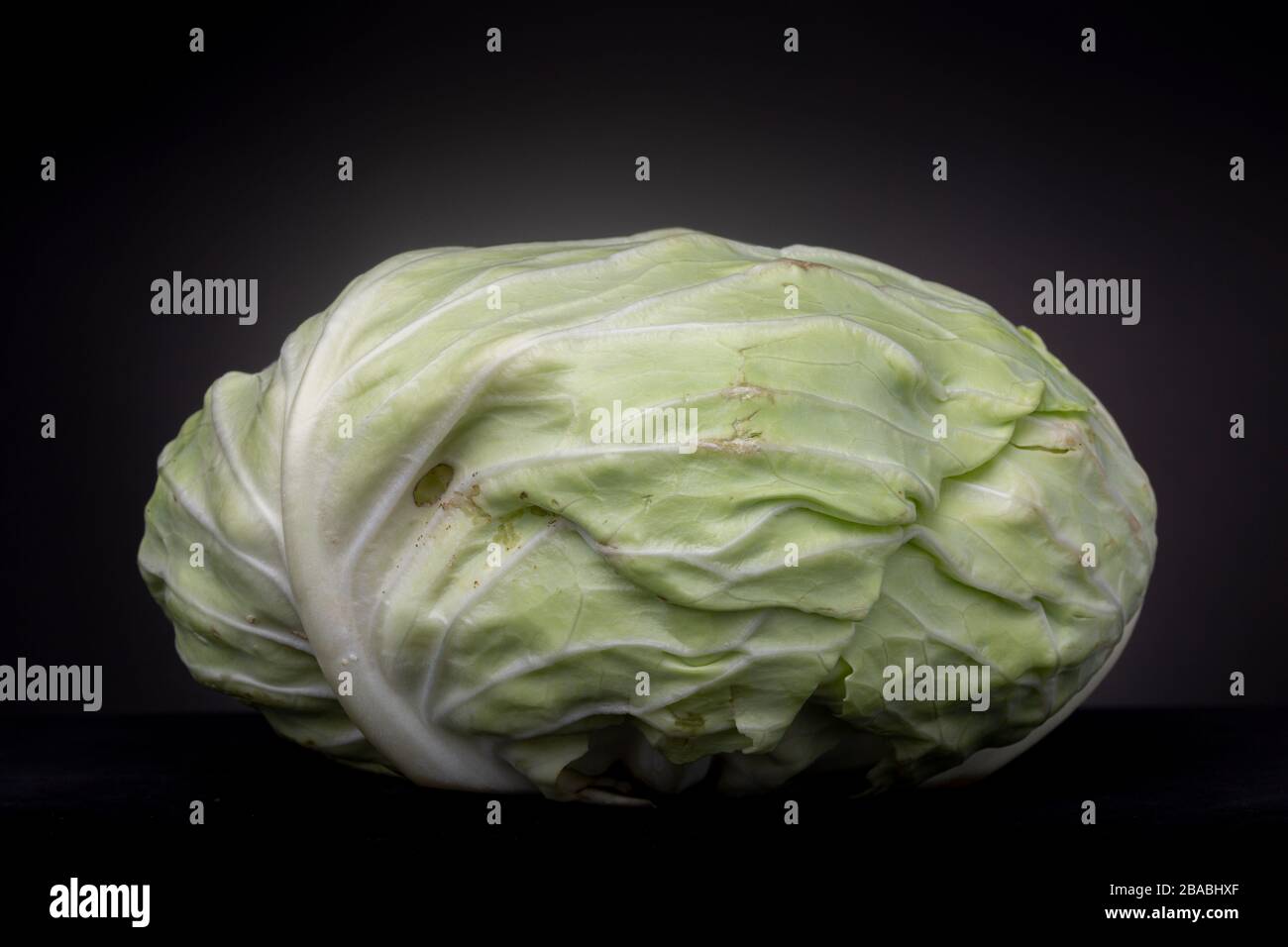 Side view of an Iceberg lettuce vegetable crop with smooth sturdy ...