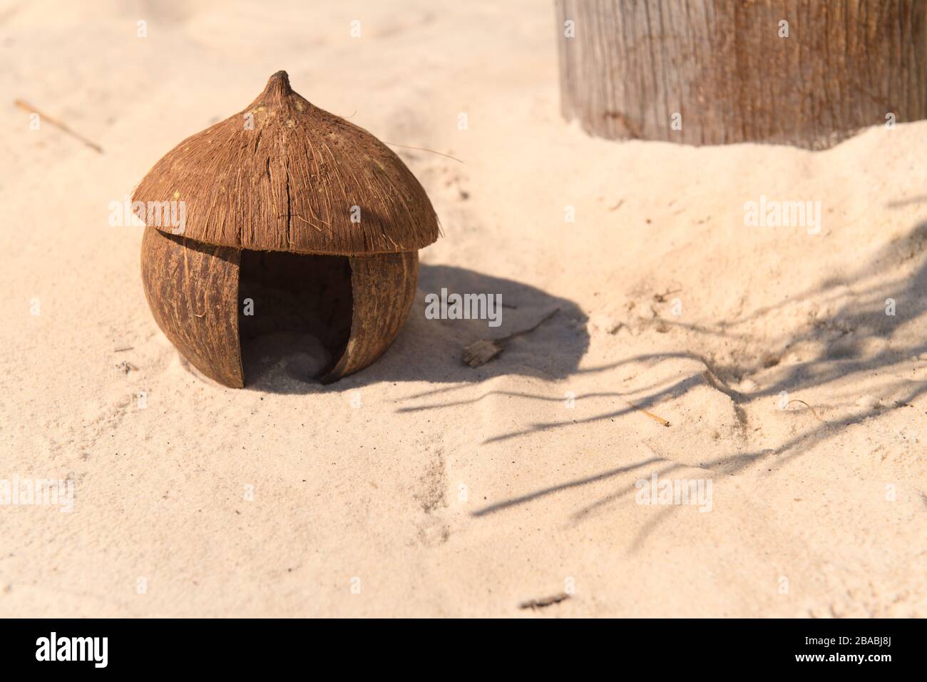 Simple coconut hut at the tropical beach Stock Photo - Alamy