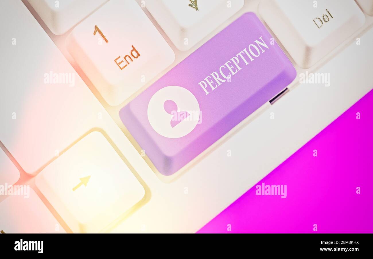 Conceptual hand writing showing Perception. Concept meaning individuals ...