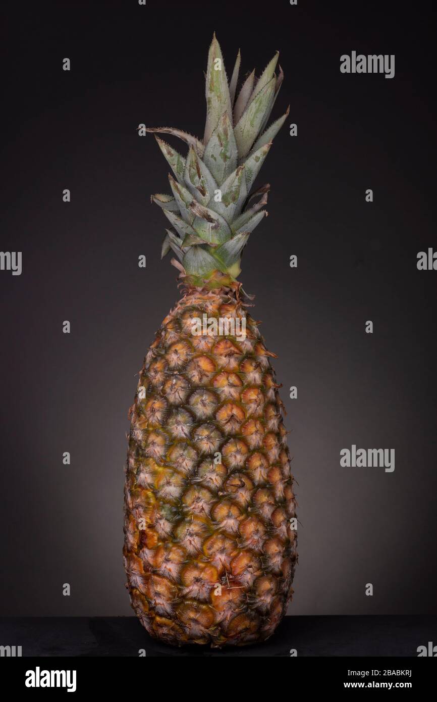Low key studio shot of upright standing pineapple with top on a black ...
