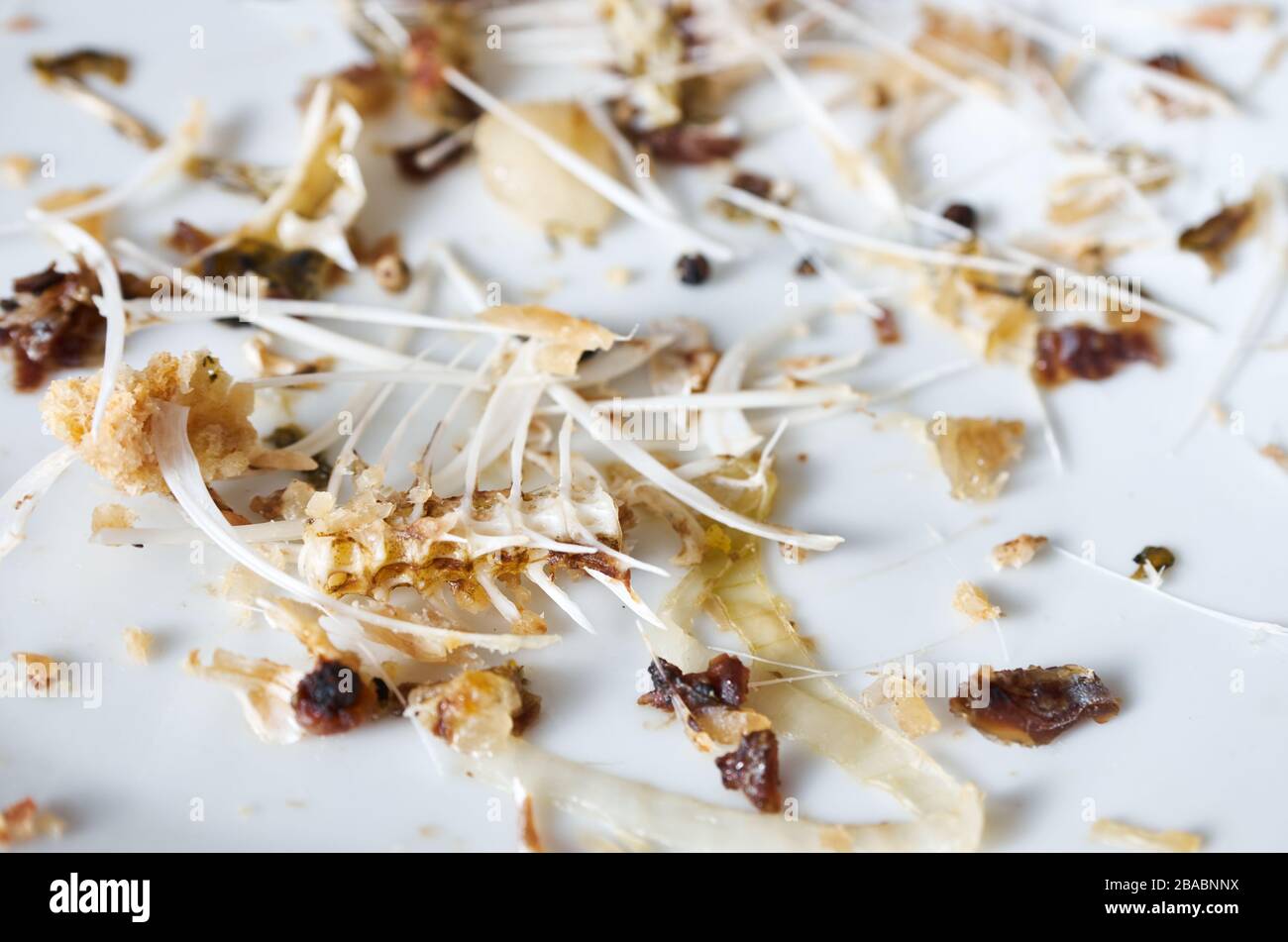 Parts of a fish hi-res stock photography and images - Alamy