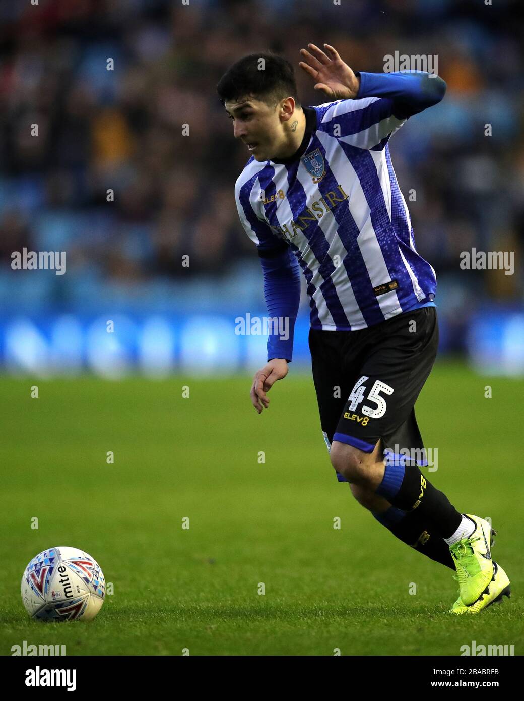 Fernando forestieri hi-res stock photography and images - Alamy