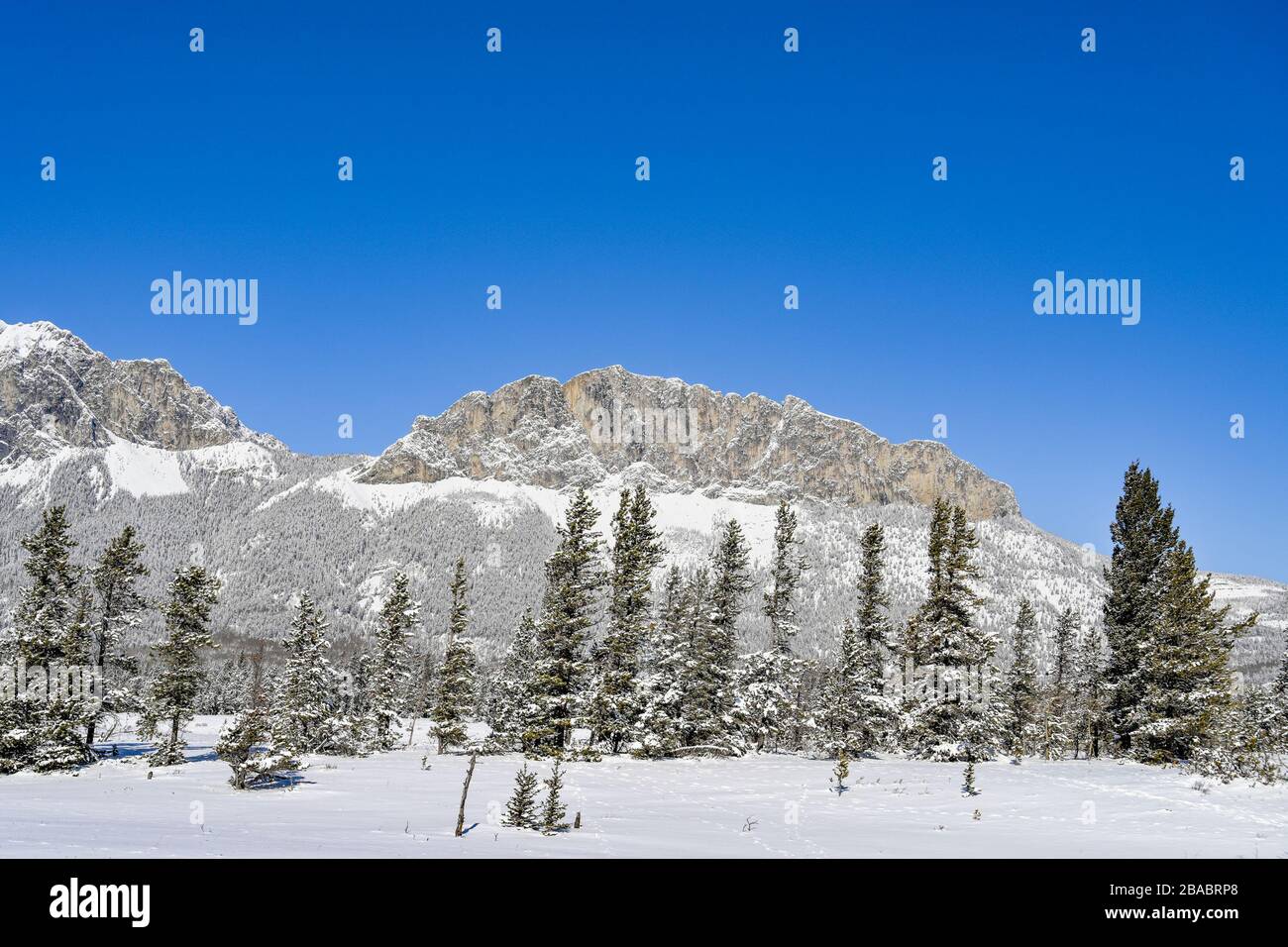 Mount yamnuska hi-res stock photography and images - Alamy