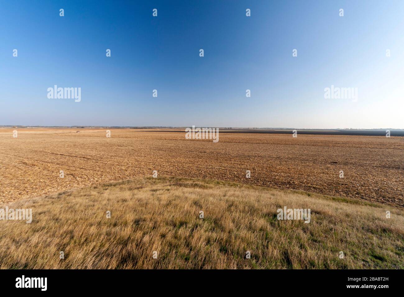 Great Hungarian Plain