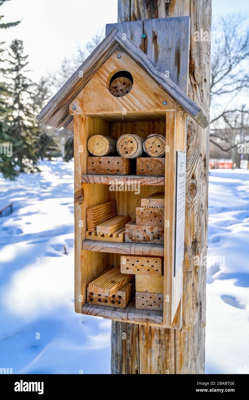 Protecting pollinators hi-res stock photography and images - Alamy