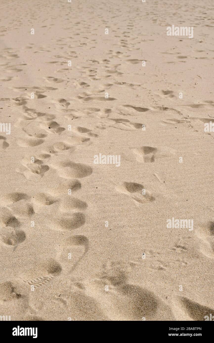 Smooth Sand Texture from a Local Beach Stock Photo - Alamy