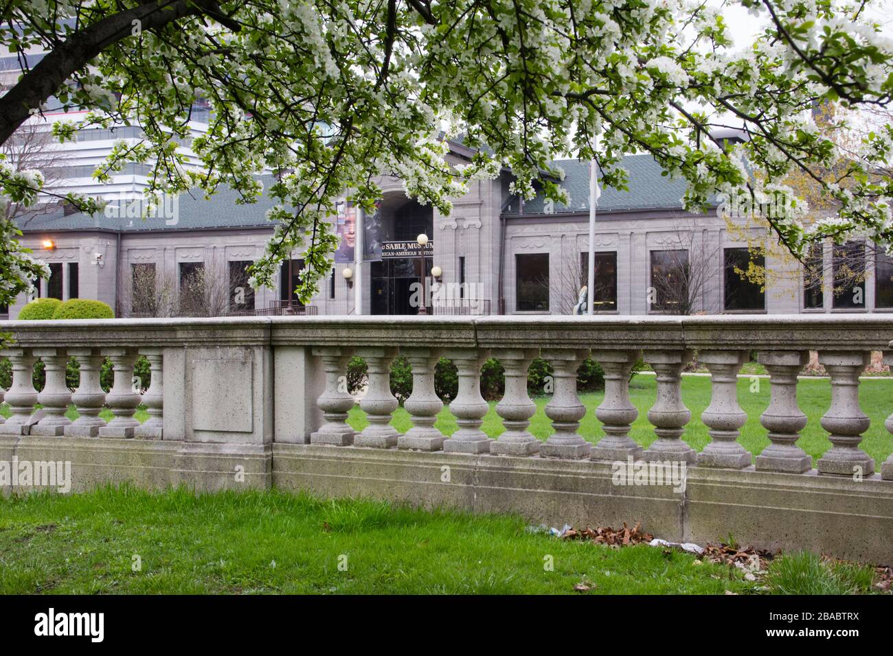Dusable Museum behind fence and blossom on branches, Hyde Park, Chicago ...