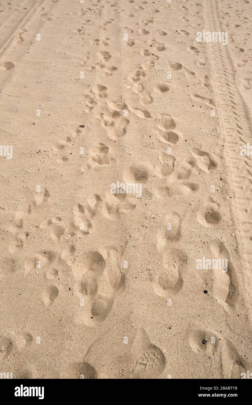 Smooth Sand Texture from a Local Beach Stock Photo - Alamy