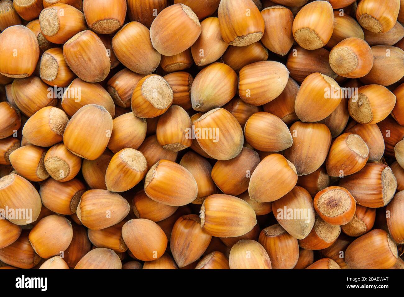 Hazelnut texture, natural background of ripe nuts Stock Photo - Alamy