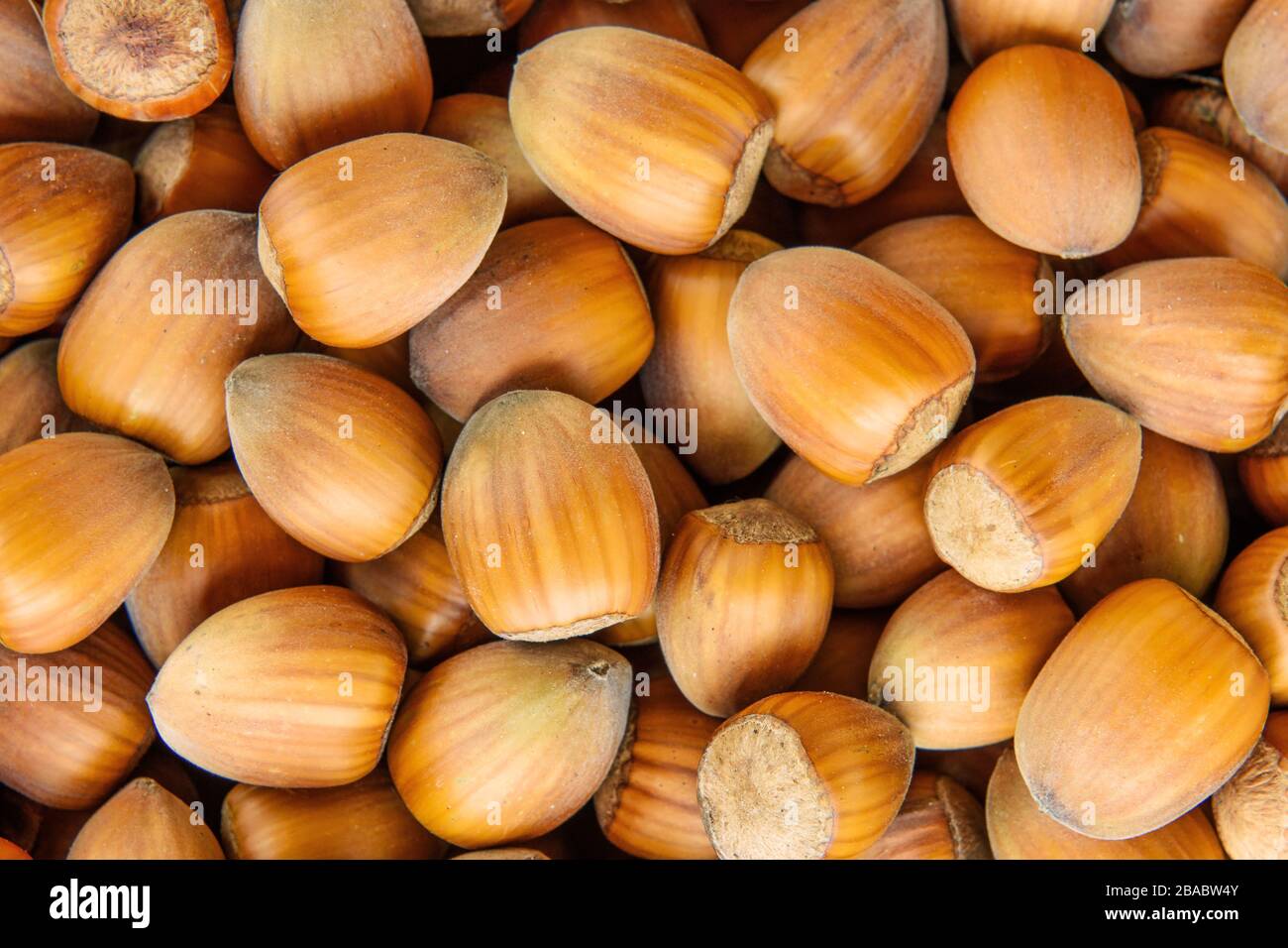 Hazelnut texture, natural background of ripe nuts Stock Photo - Alamy
