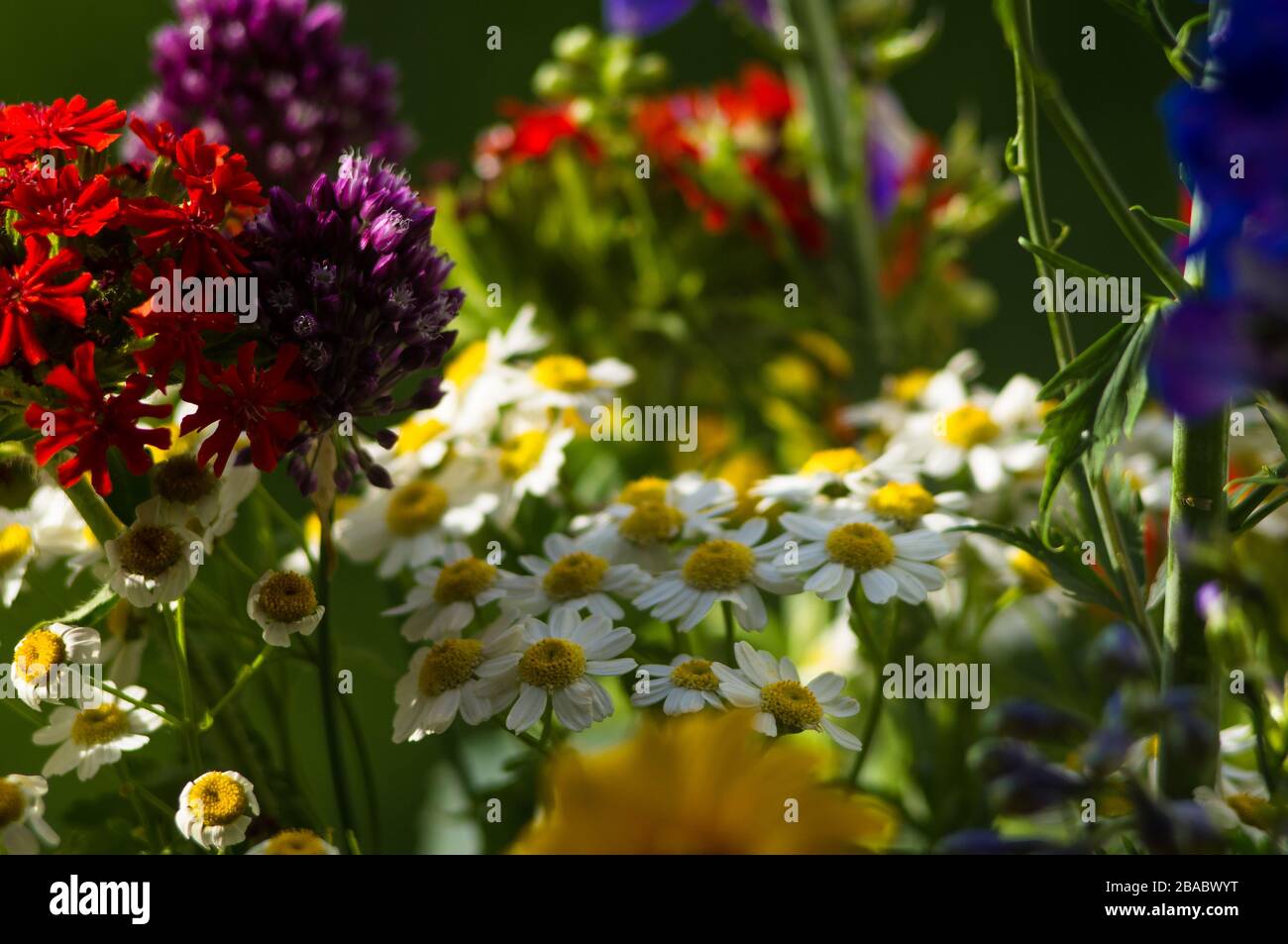 a bouquet of bright spring flowers of various types Stock Photo - Alamy