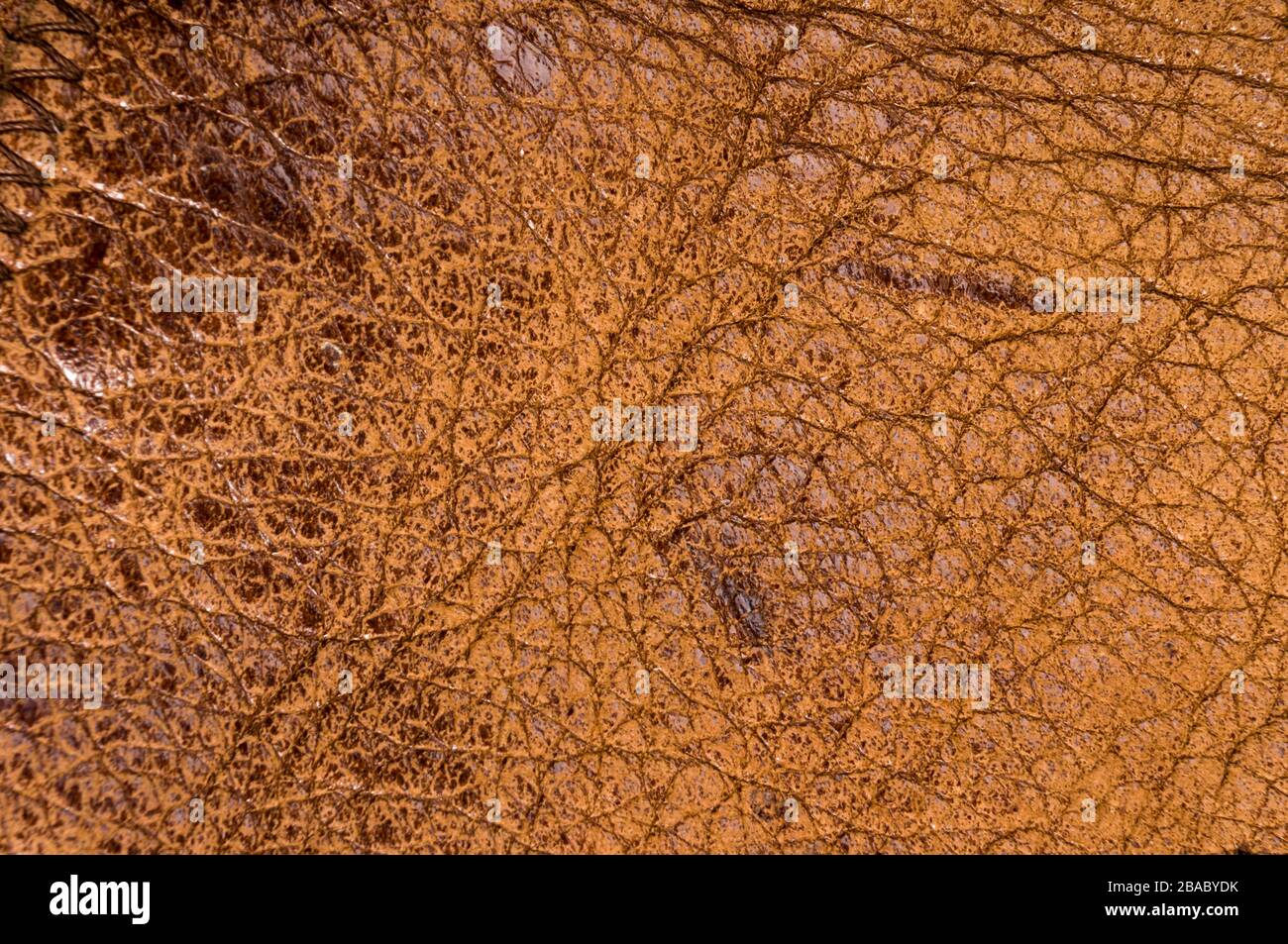 Old vintage genuine soft brown leather texture background, top layer ...