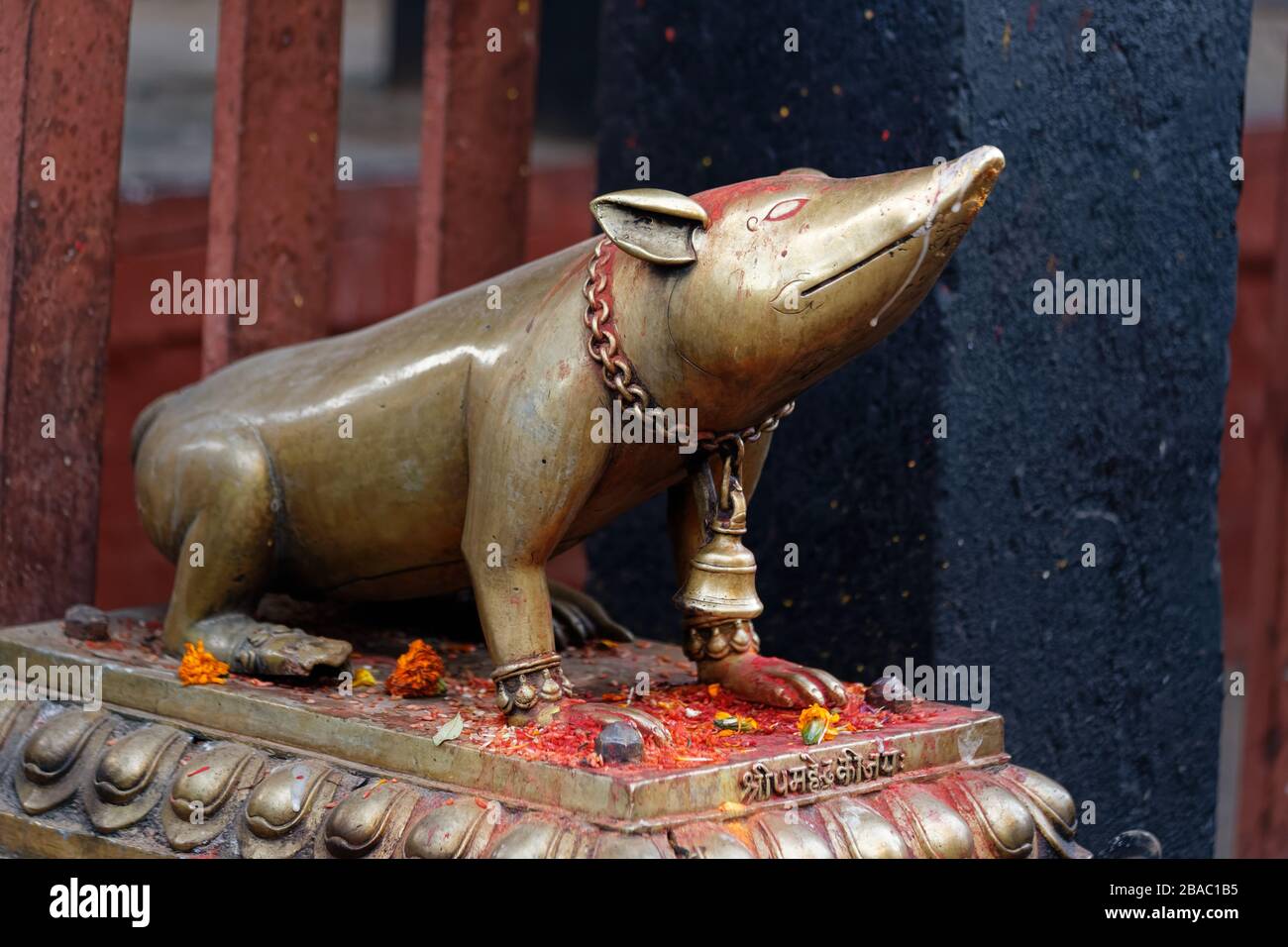 Kathmandu, Nepal. 2nd Feb, 2014. Golden shrew, the vehicle of Ganesh ...