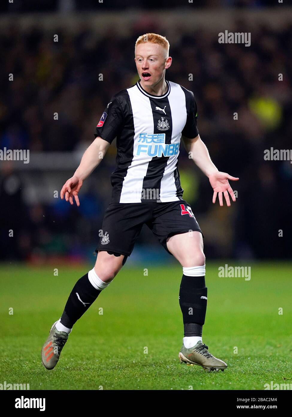 Newcastle United's Matthew Longstaff Stock Photo - Alamy