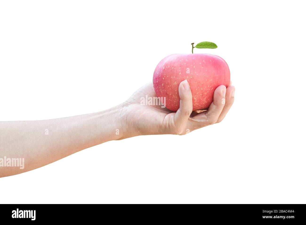hand holding a red apple isolated on white background with clipping ...