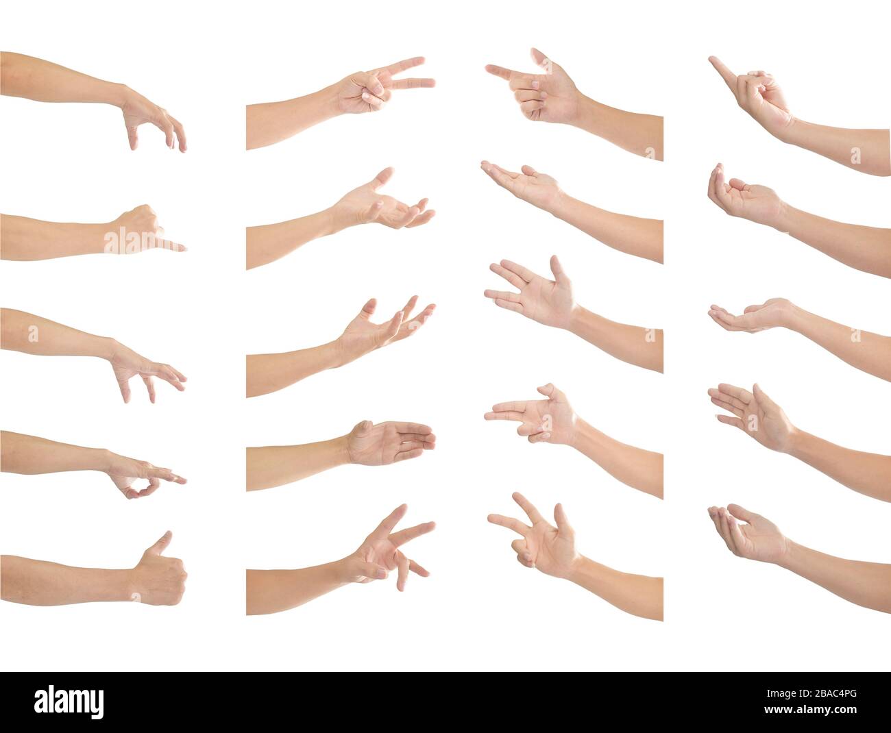 Collection of human hands in multiple gesture isolated on white ...