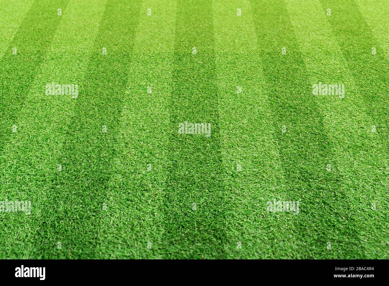 Stripe grass soccer field. Sport lawn background Stock Photo - Alamy