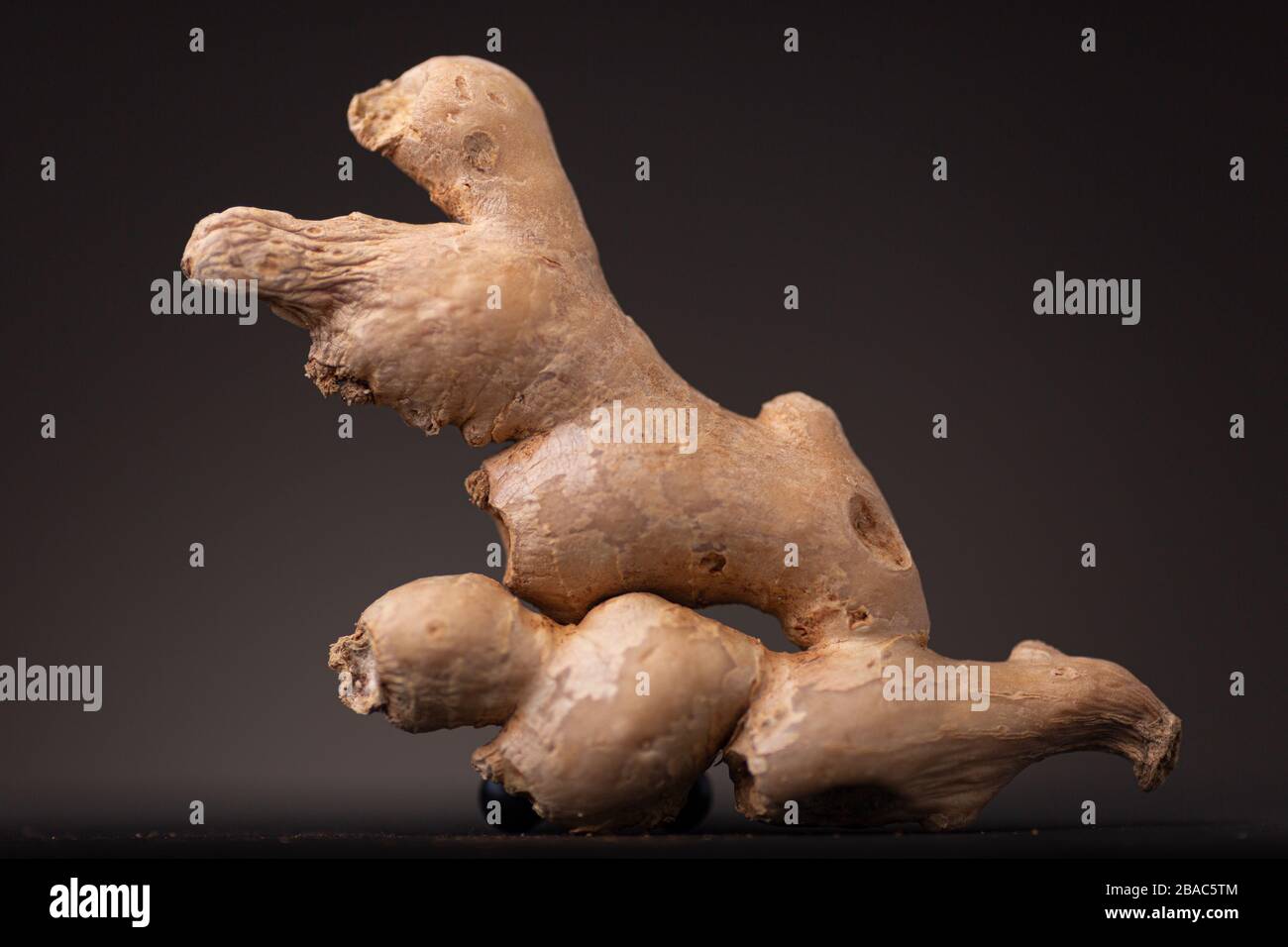 Fresh ginger root. Low key still life studio shot of edible spice ...