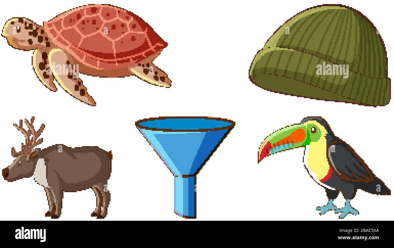 Large set of different animals and other objects on white background ...