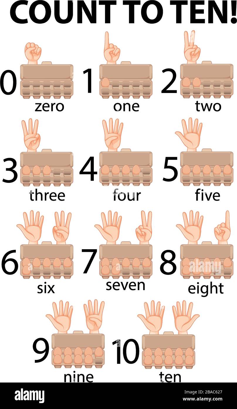 Poster design for counting number one to ten by hand and eggs in carton ...