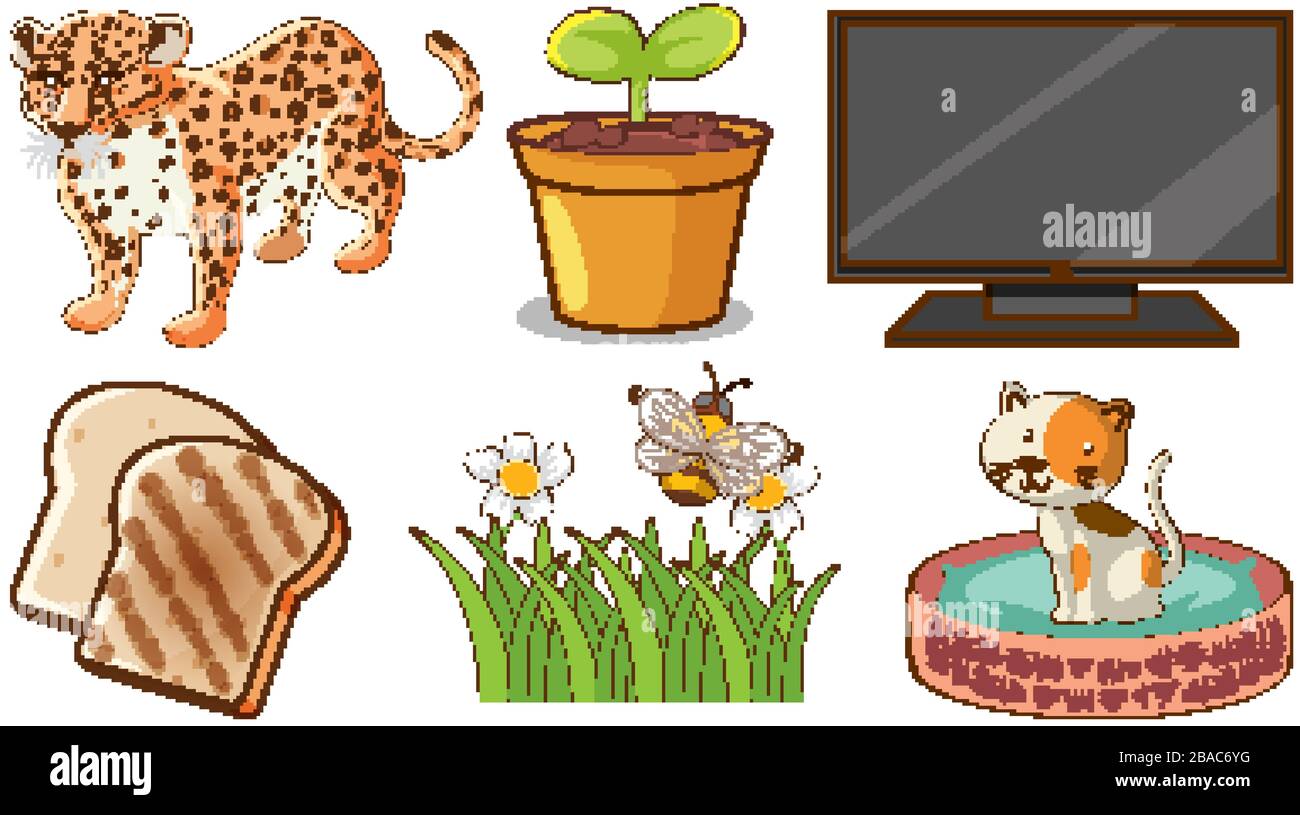 Large set of different animals and other objects on white background ...